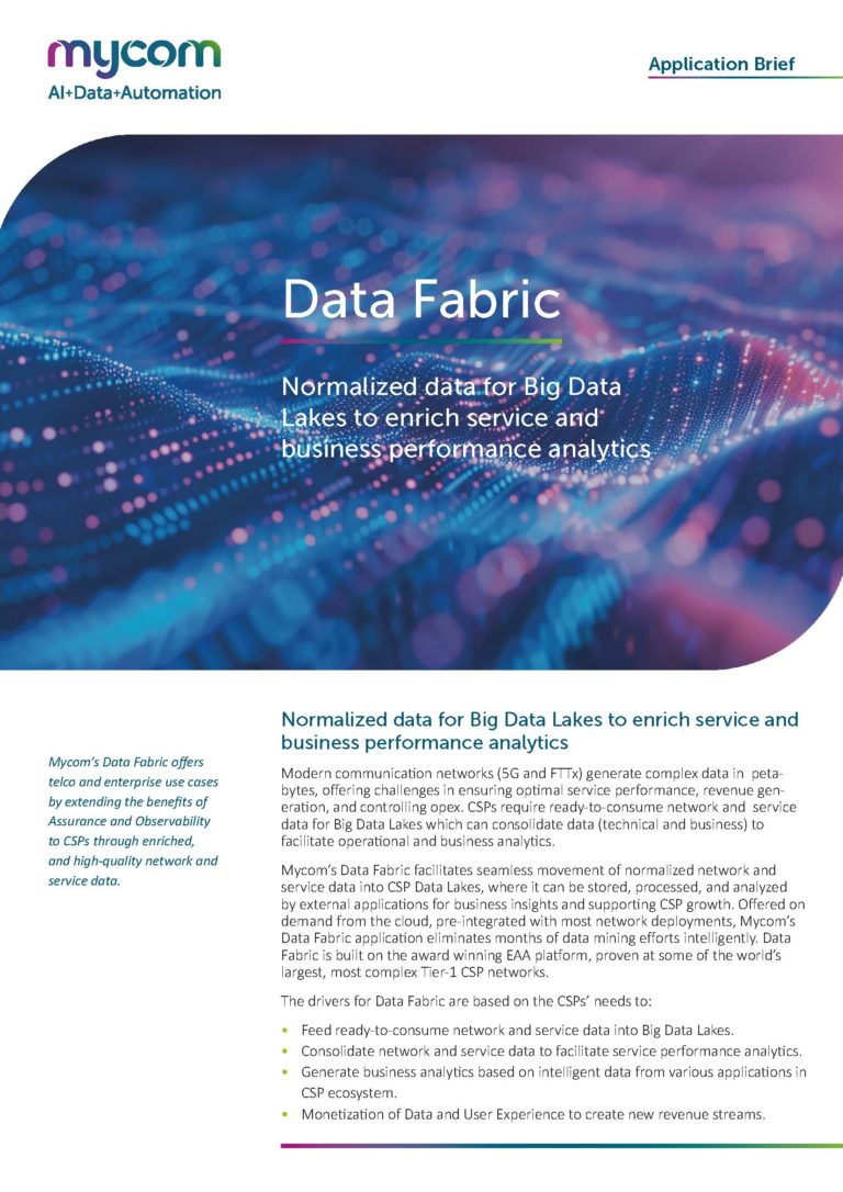 Application Brief | Data Fabric - Mycom